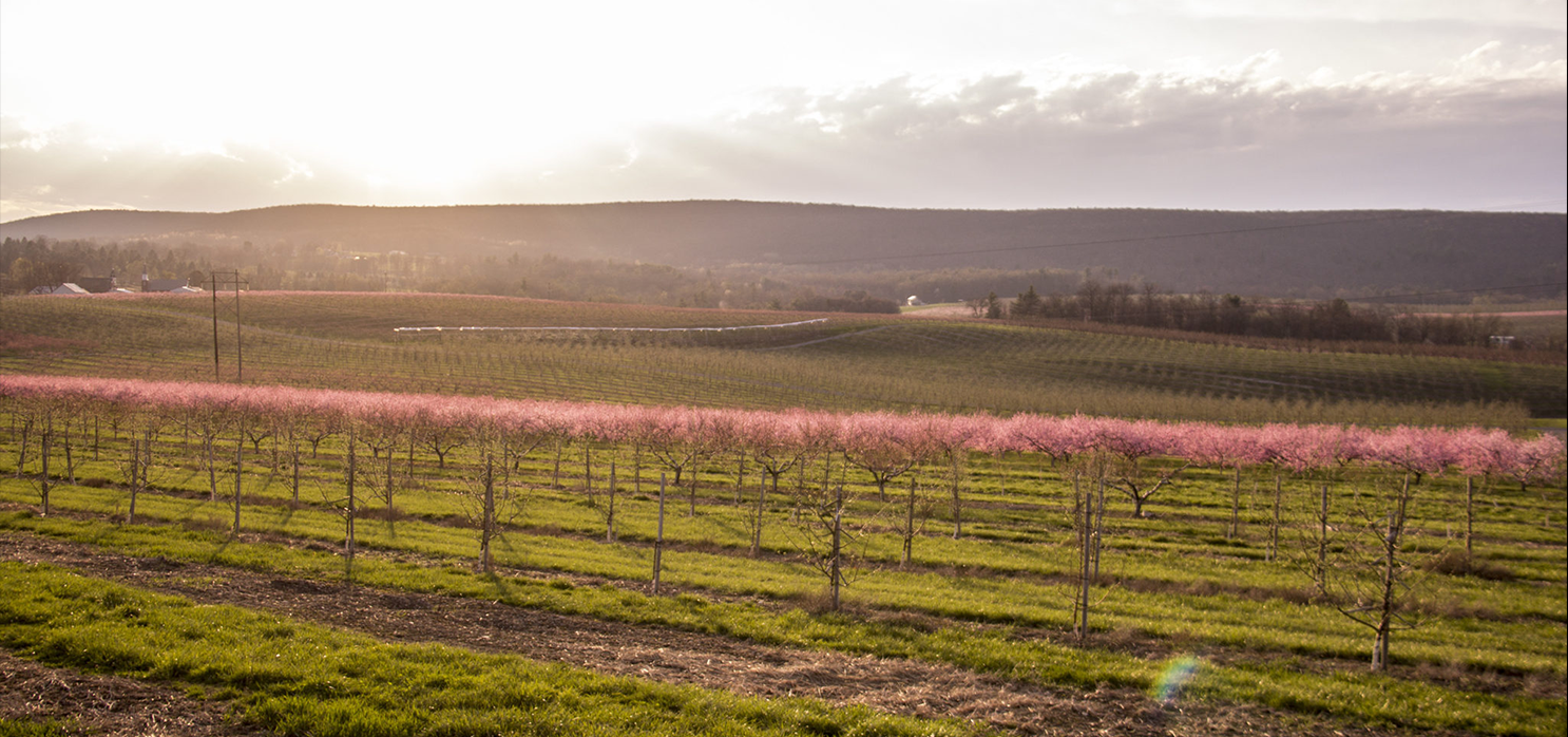 10 Experiences To Have This Spring In Gettysburg – Explore Pennsylvania ...